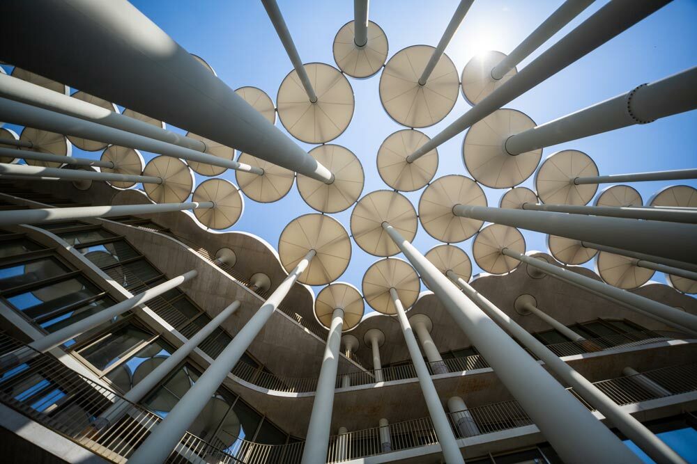 After Complexity - An IN-PERSON Practice visit with ACME | The ...