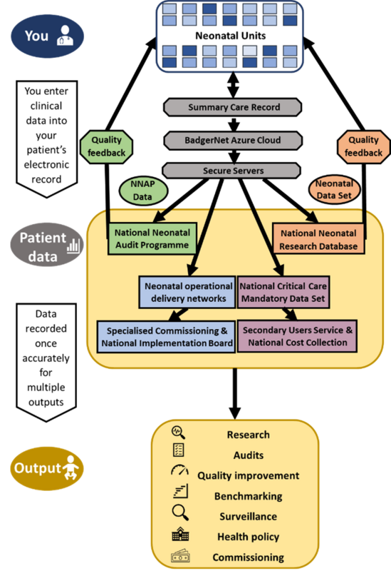 Data FAQs: Data flow in the UK | British Association of Perinatal Medicine