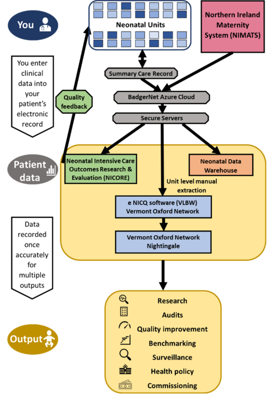 Data FAQs: Data flow in the UK | British Association of Perinatal Medicine