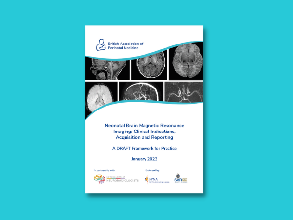 DRAFT Framework: Neonatal Brain Magnetic Resonance Imaging | British ...