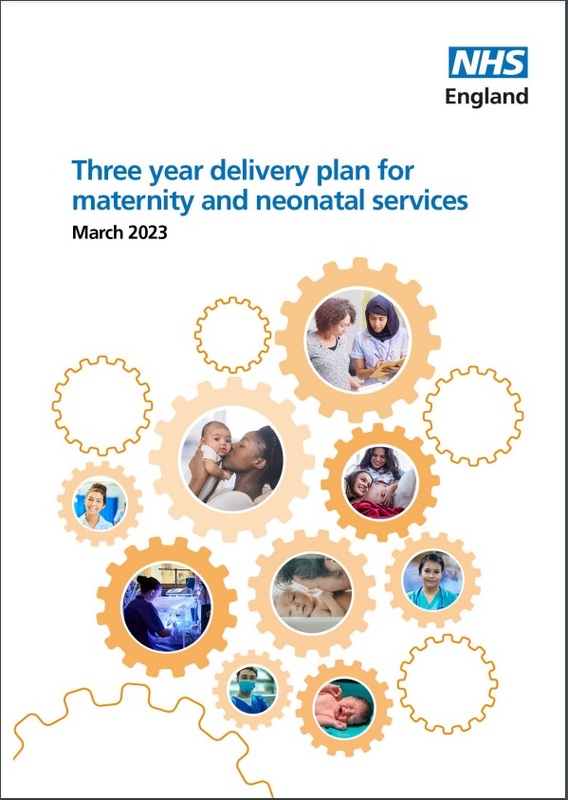 BAPM Responds to Single Delivery Plan | British Association of ...