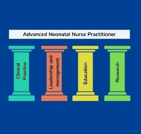 Advanced Neonatal Nurse Practitioner Capabilities Framework | British ...