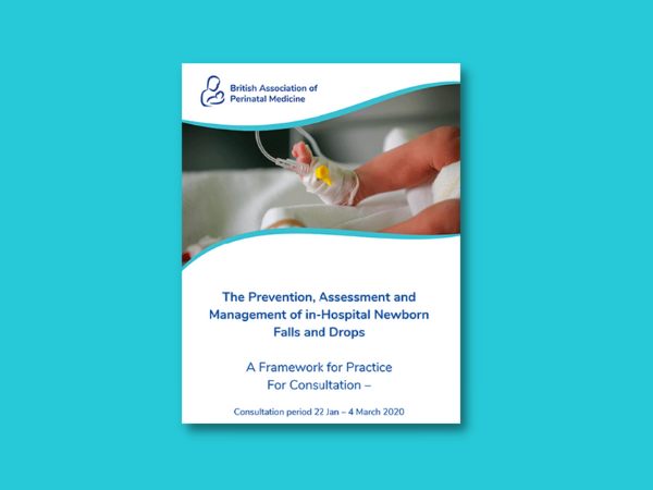 The Prevention, Assessment and Management of in-Hospital Newborn Falls ...