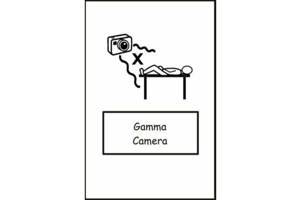 Gamma Camera | Easy Health