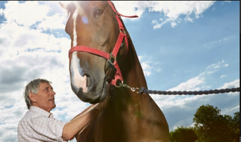 Dr Christopher Day | Faculty of Homeopathy