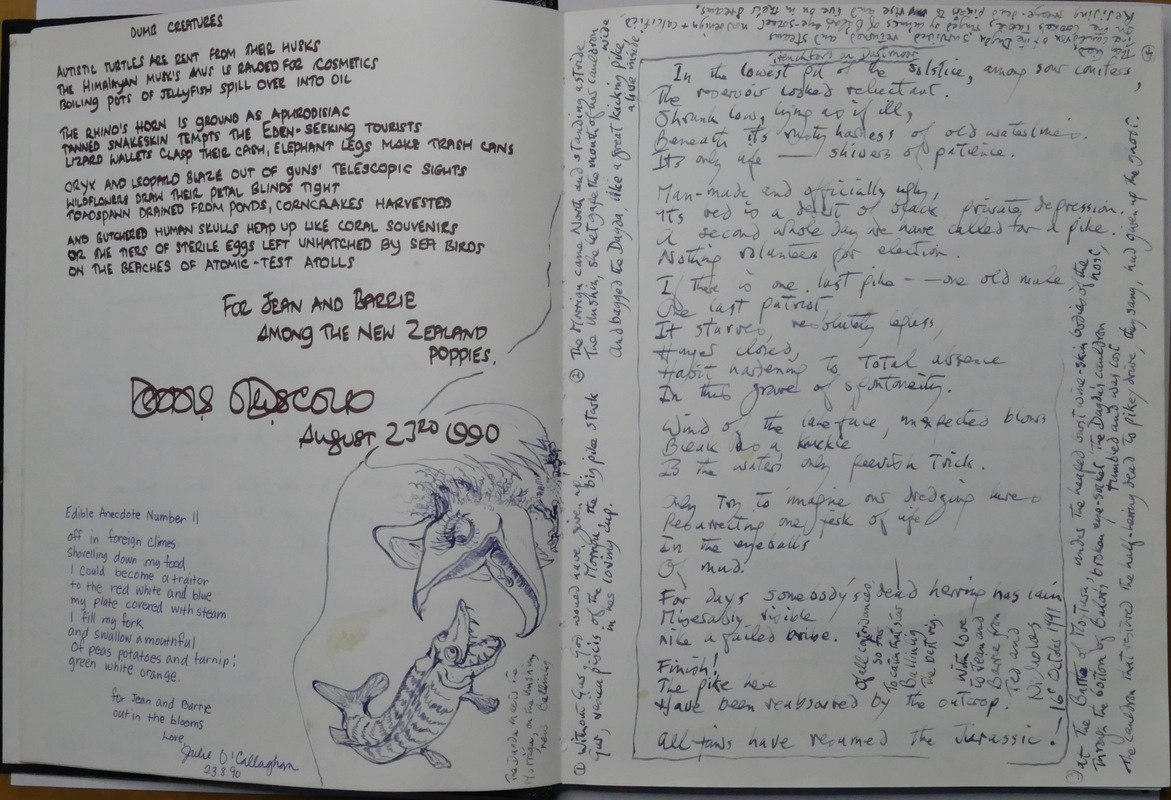 The Barrie Cooke Archive | Friends of the National Libraries