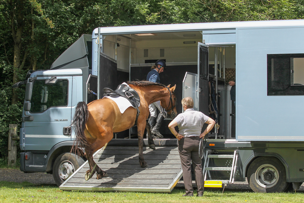 Horse Transport Service | Happiness Horsebox CIC
