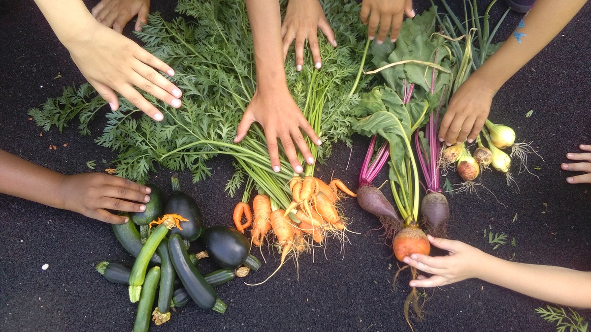 An introduction to Learning through Landscapes and school grounds ...