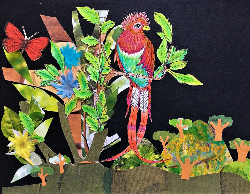 Quest for a Quetzal | Learn to Love to Read