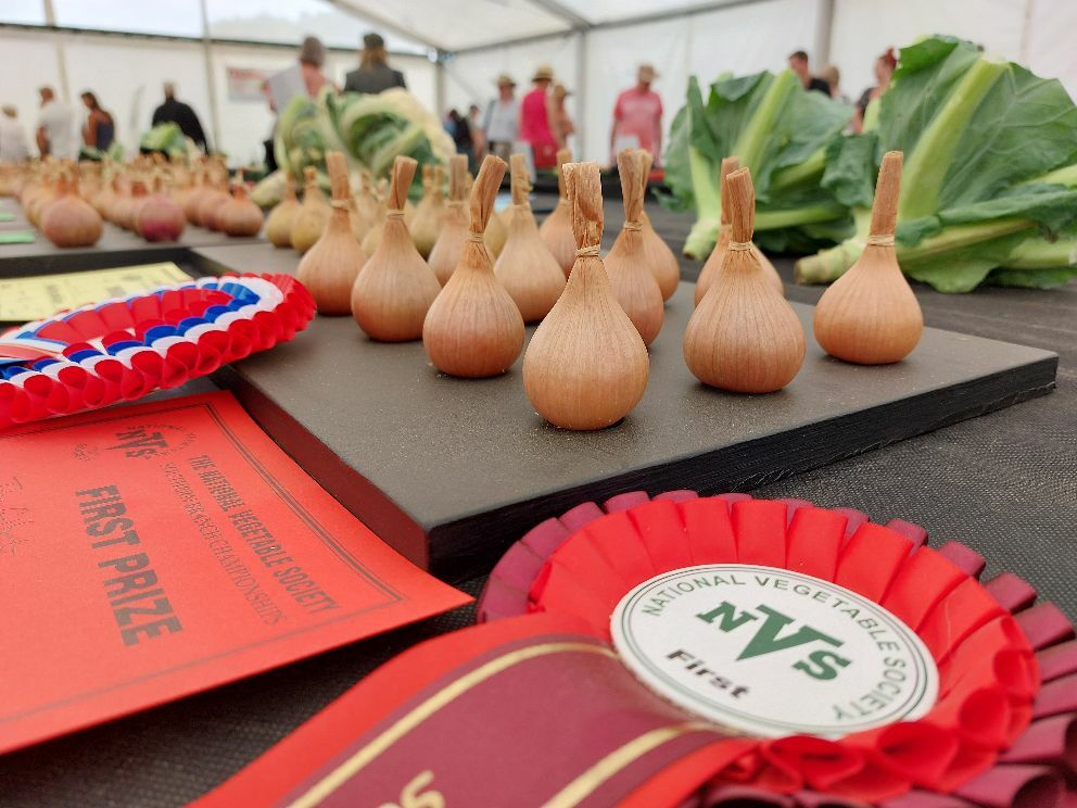 Southern Branch Championships 2023 | National Vegetable Society