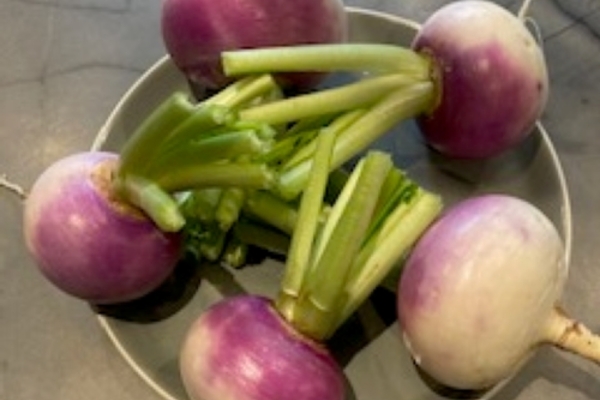 Irish Championships 2023 | National Vegetable Society