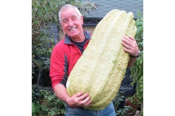 North Yorkshire and South Durham D.A. - Giant Marrow competition ...