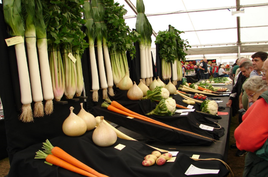 National Championships | National Vegetable Society