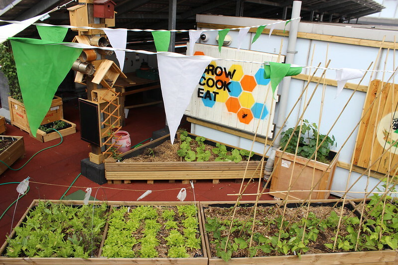 Our roof garden wins 3 London in Bloom awards | Providence Row
