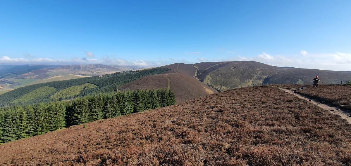 Tweed Valley Trail Committee | Tweed Valley Trails Association (TVTA)