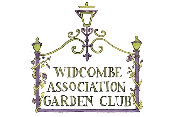 Climbers and Clematis -Marcel Floyd at the Widcombe Social Club ...